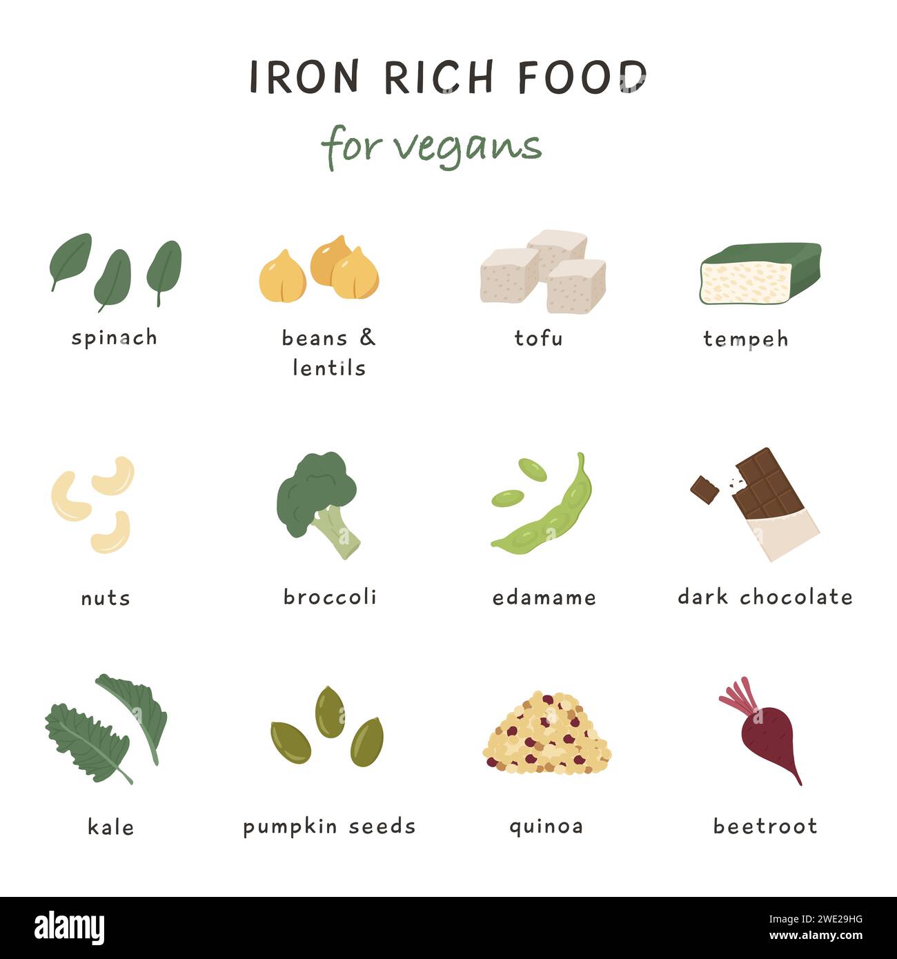 Iron rich food sources for vegan diet. Collection of food containing ...