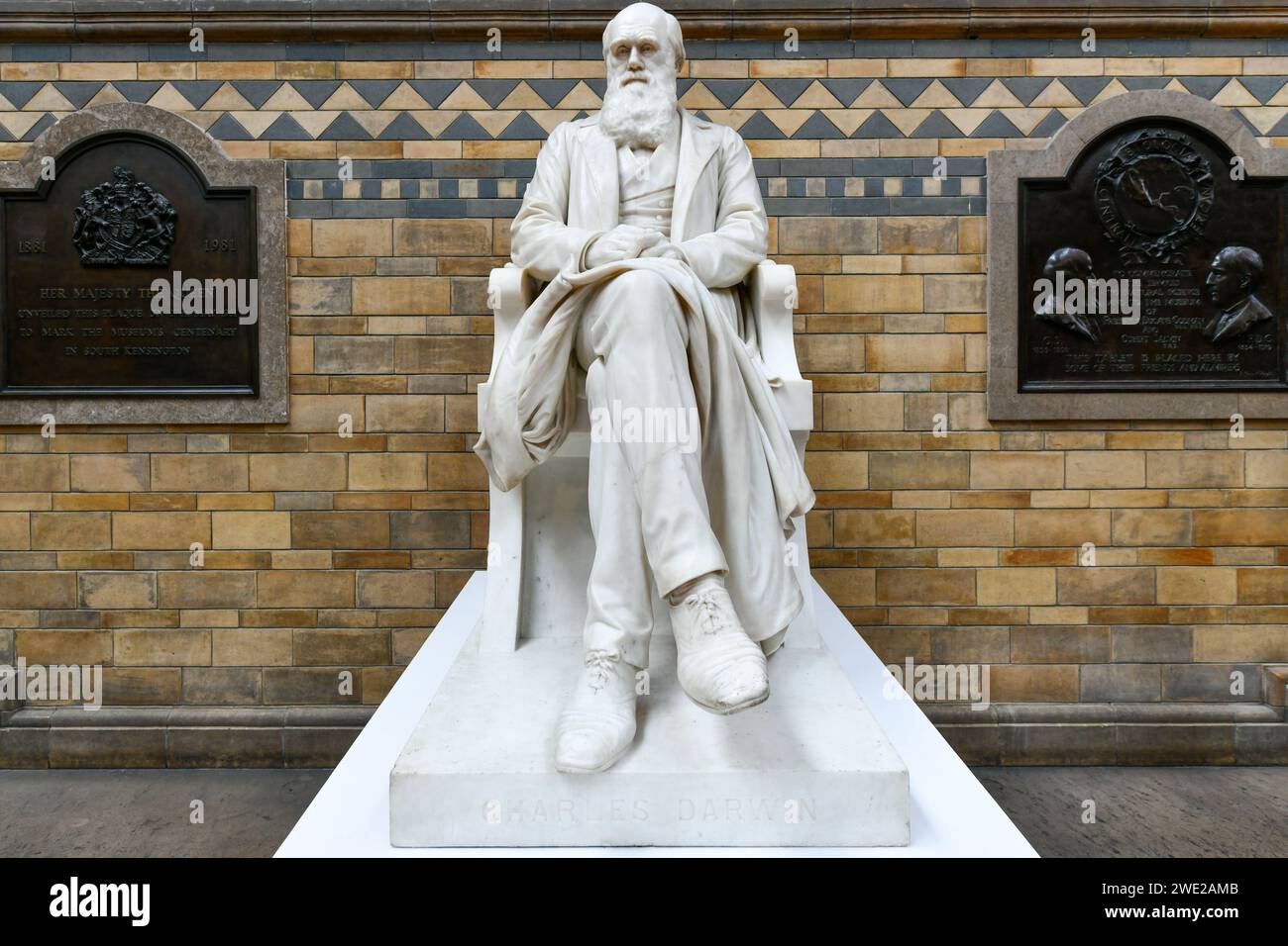 London, UK - Aug 28, 2022: Statue of Charles Darwin, Natural History ...