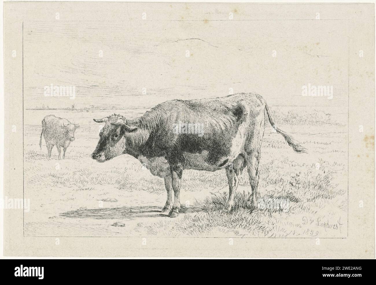 Two cows in a meadow, Dirk van Lokhorst, 1859 print Two standing cows ...