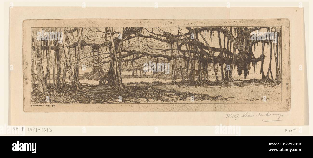 Waringin trees in a garden in Buitenzorg, Wijnand Otto Jan Nieuwenkamp ...