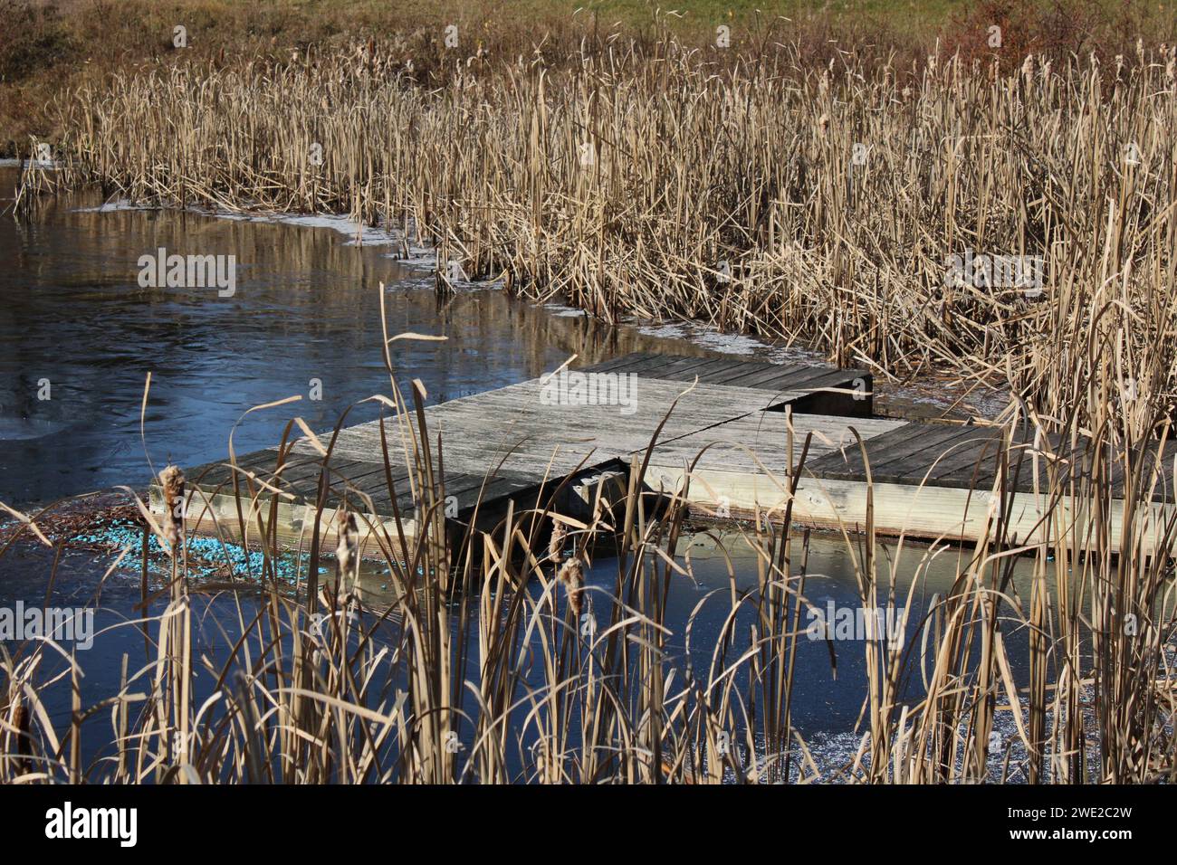 Surrounded with grass hi-res stock photography and images - Alamy