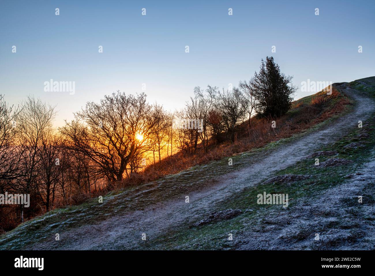 Sunrise behind trees coming down Pinnacle Hill in the frost. Malvern ...