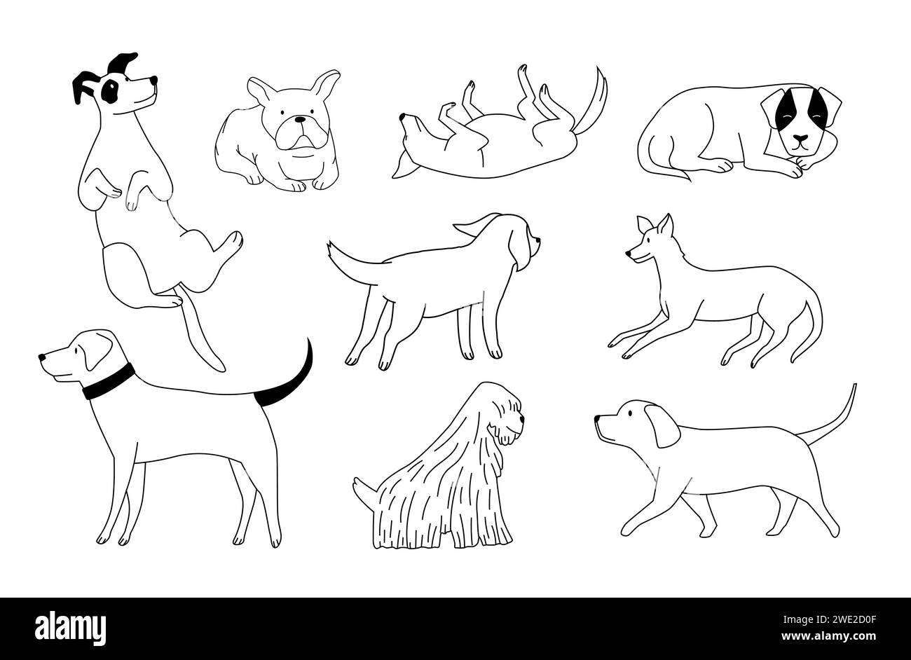 Cute doodle dog. Furry playful domestic animals of different breeds ...