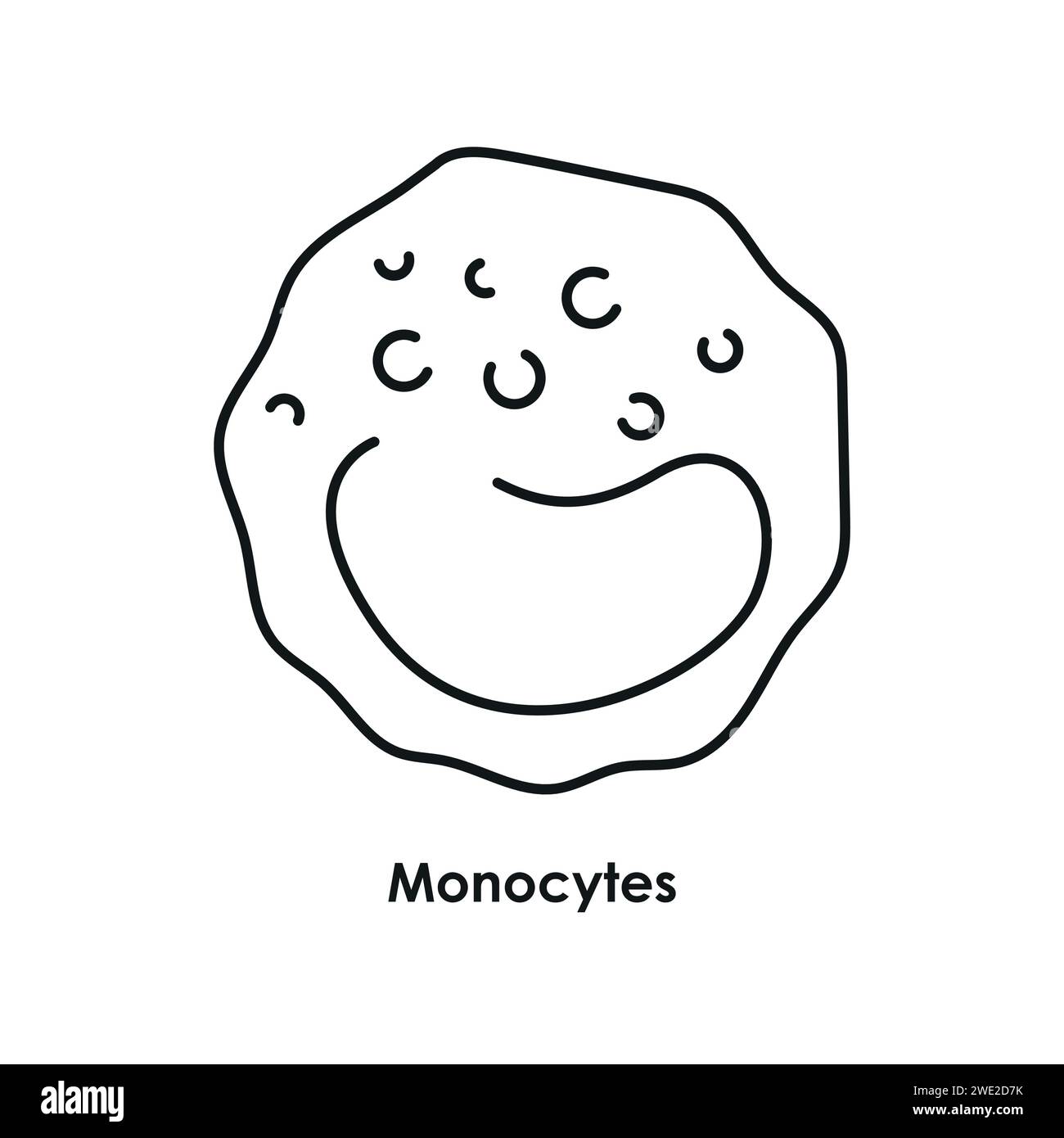 Monocytes color icon. White blood cells in the blood vessels. Vector ...