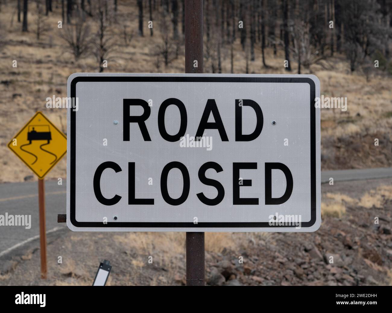 Road closed sign with curve and burnt forest in background hi-res stock ...