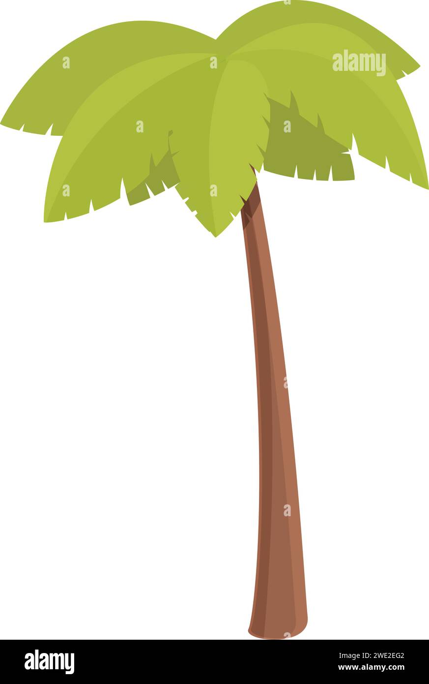 Palm tree landmark icon cartoon vector. Myanmar country. Peace day ...