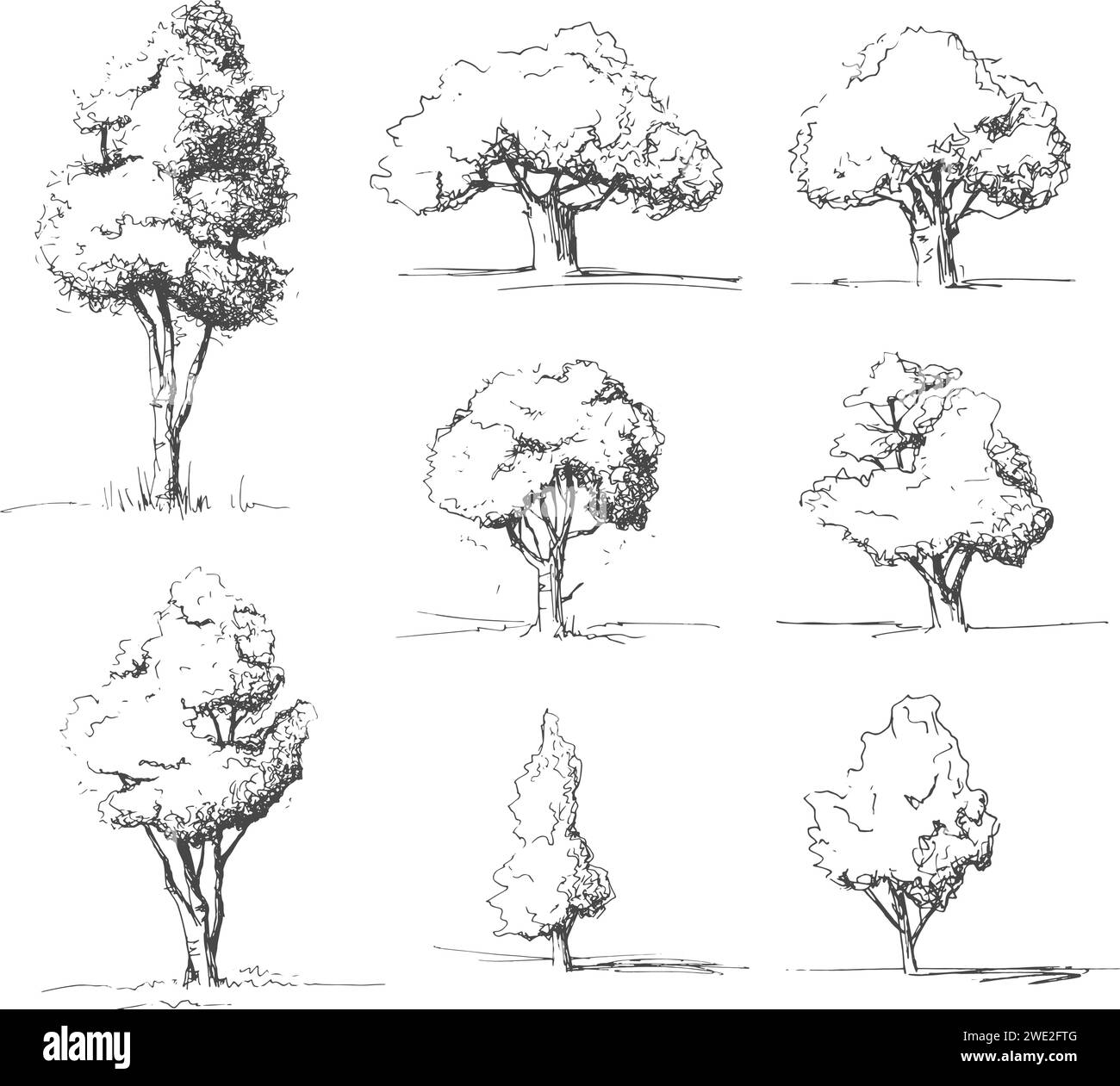 Tree sketches, drawings. Set of nature, forest illustrations Stock ...