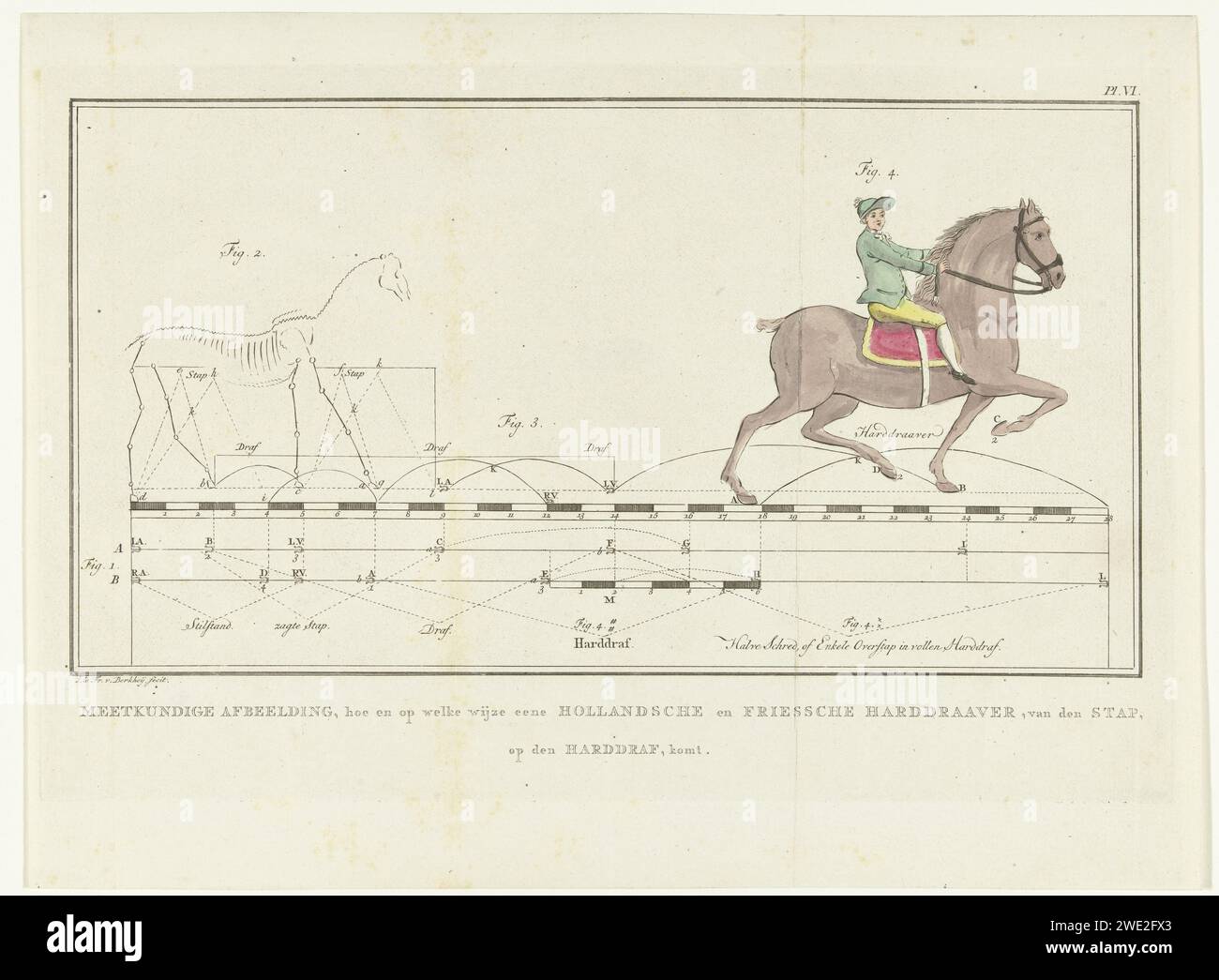 Movement from horse from step to trot with distances on the game slat ...