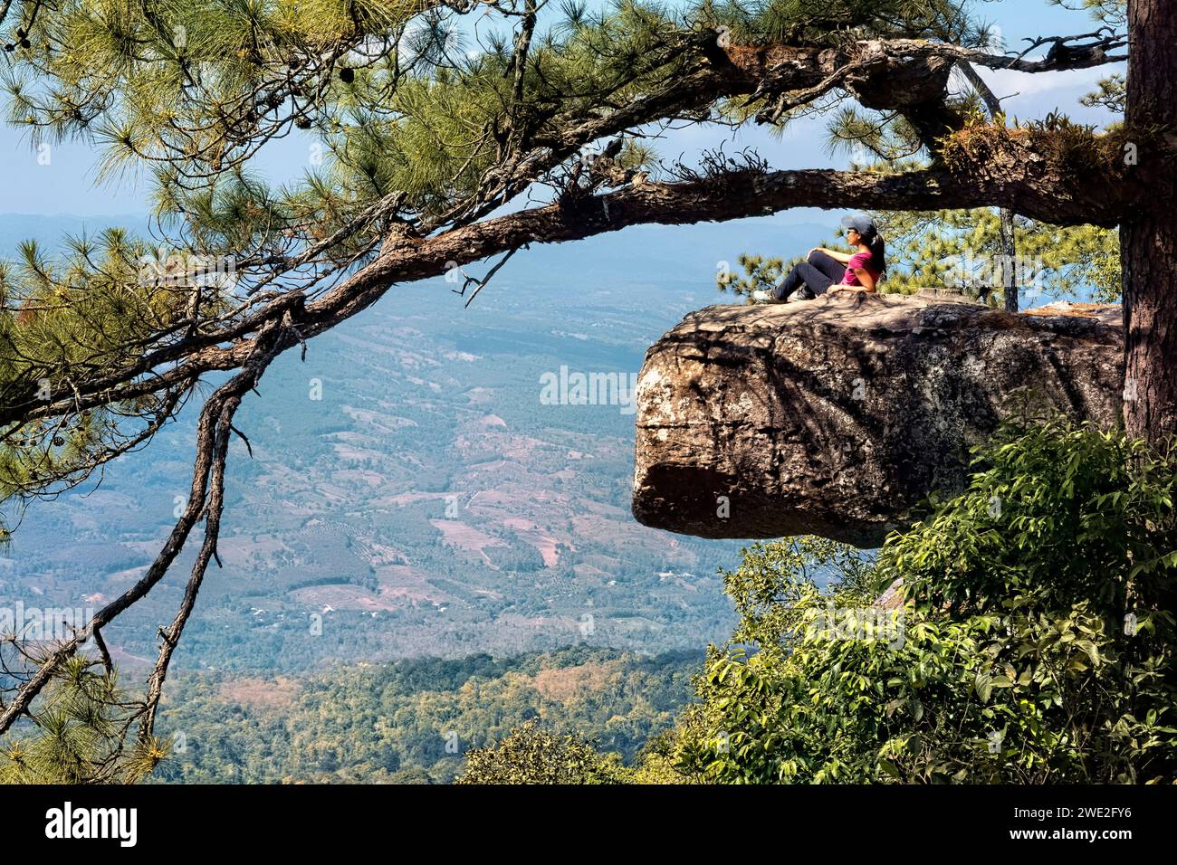 The view from Lom Sak cliff, Phu Kradueng National Park, Loei, Thailand Stock Photo - Alamy