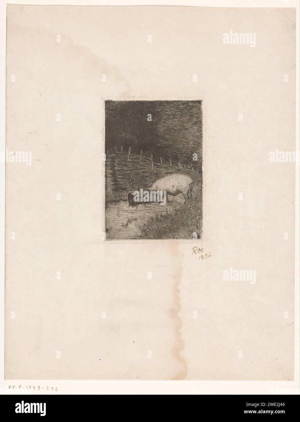 Big who eats from a trough, Richard Nicolaüs Roland Holst, 1886 print ...