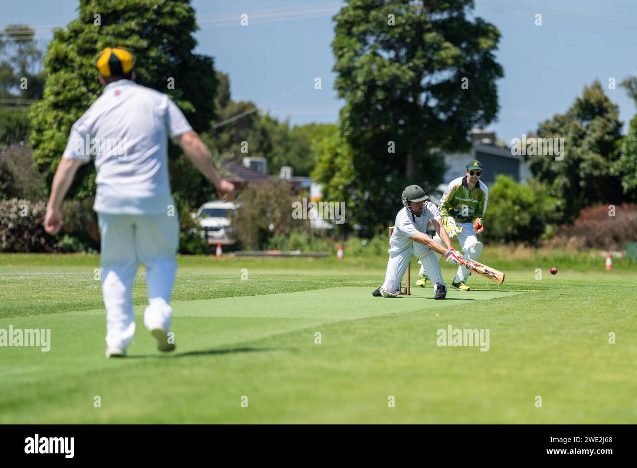 amateur game of local cricket match, cricket bat and bowl Stock Photo ...