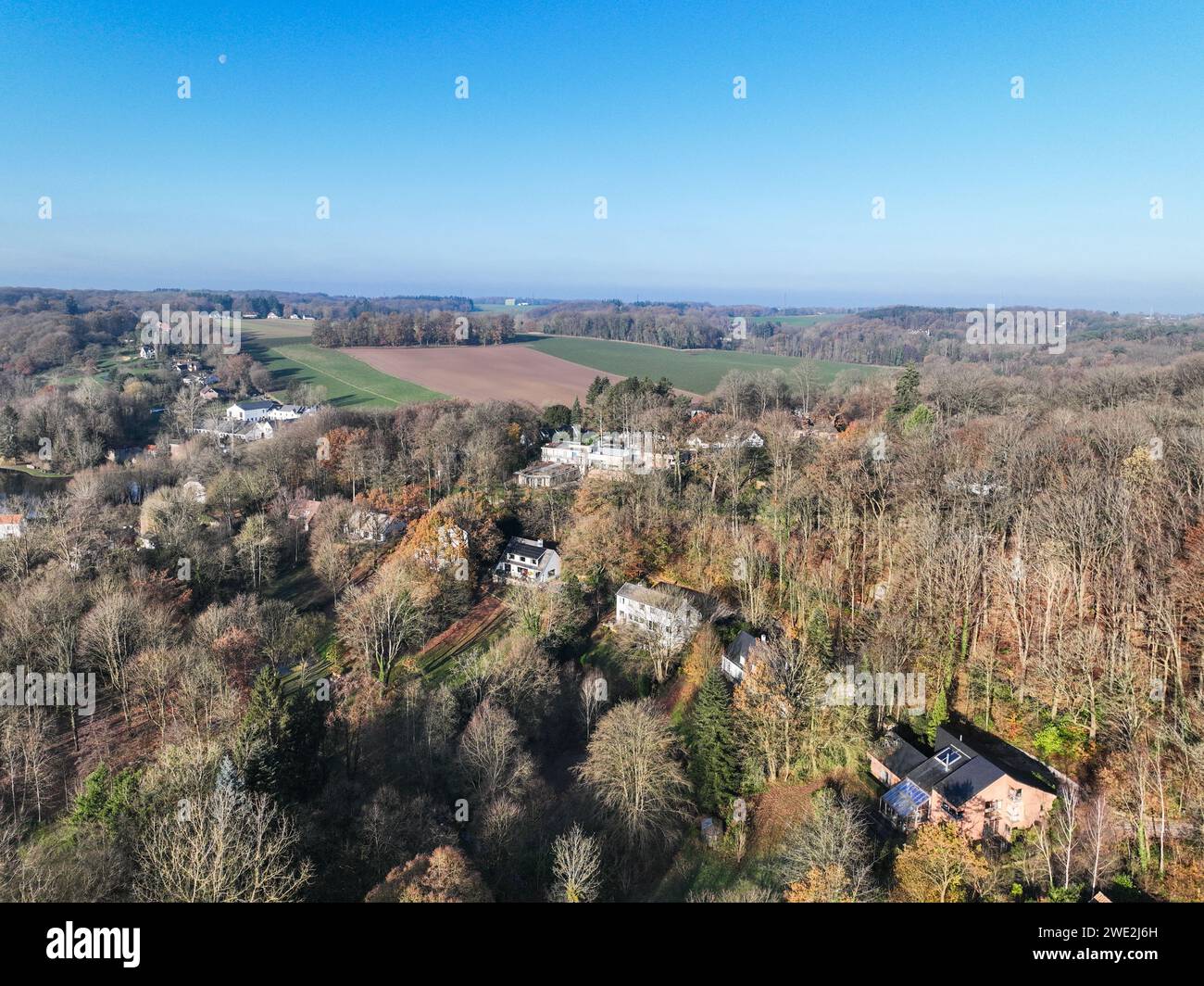 Aerial view of houses surrounded by forest and farmland in the country ...