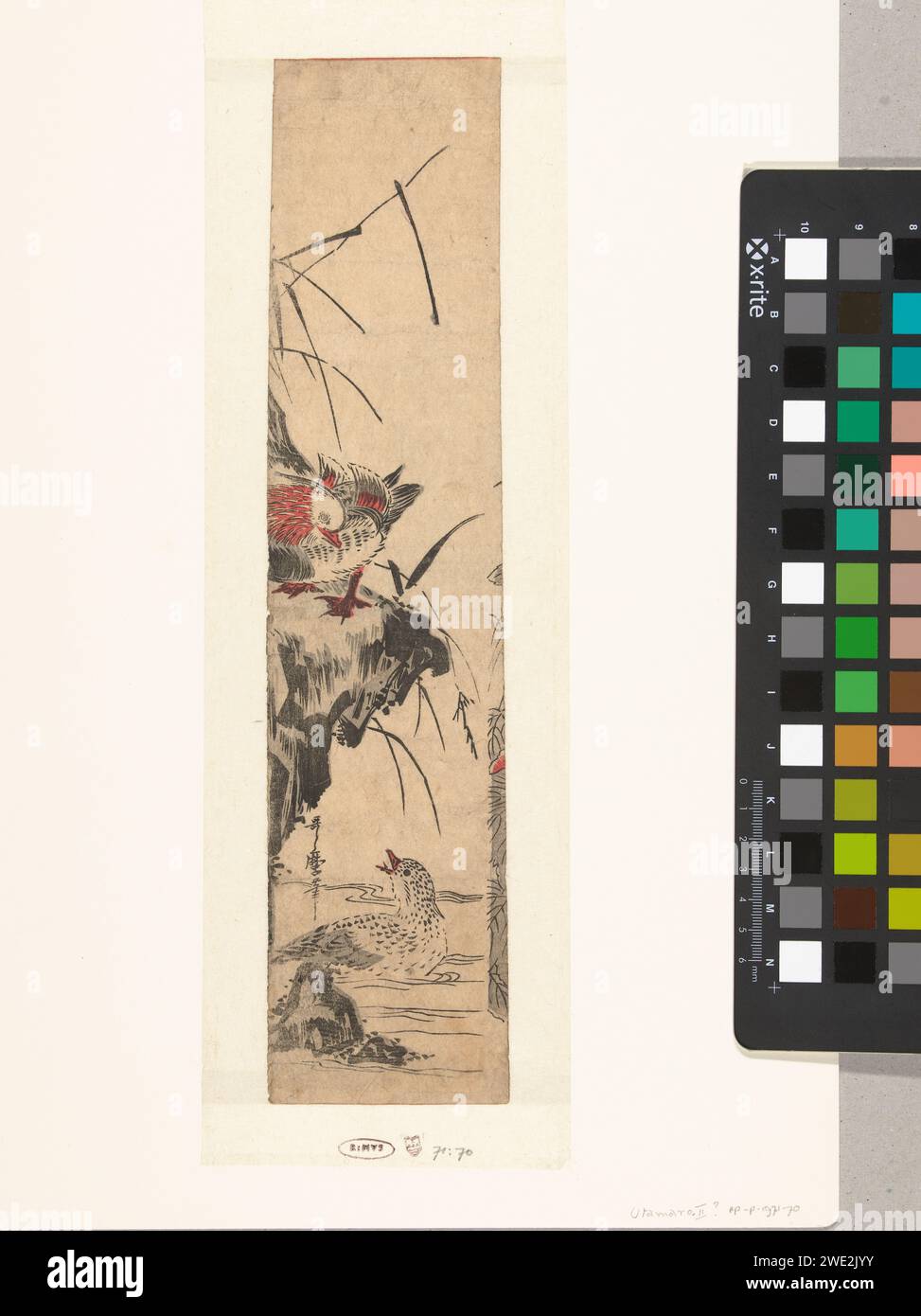 Twee Mandarijneenden, Utamaro (II), Kitagawa (Attributed to), 1808 ...