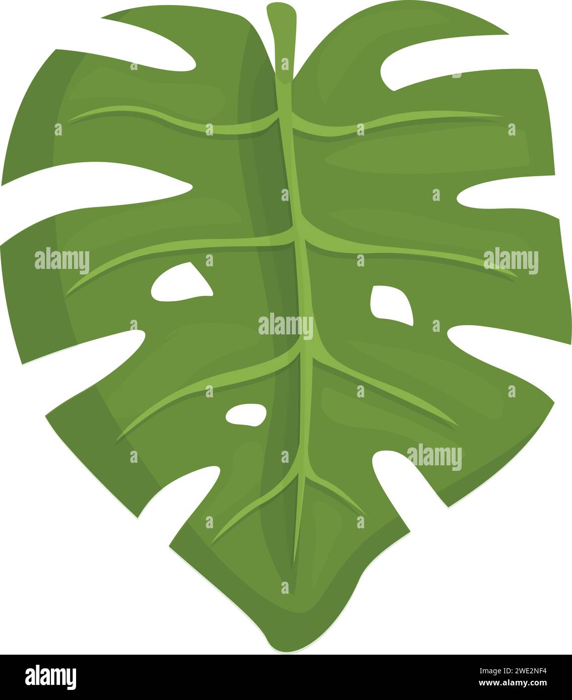 Monstera icon cartoon vector. Exotic palm leaf. Tropical plant jungle ...