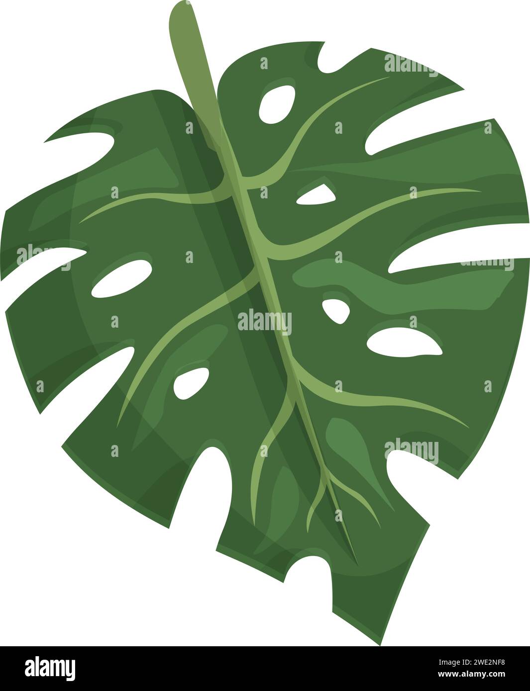 Green monstera icon cartoon vector. Palm tree. Foliage fashion leaf ...