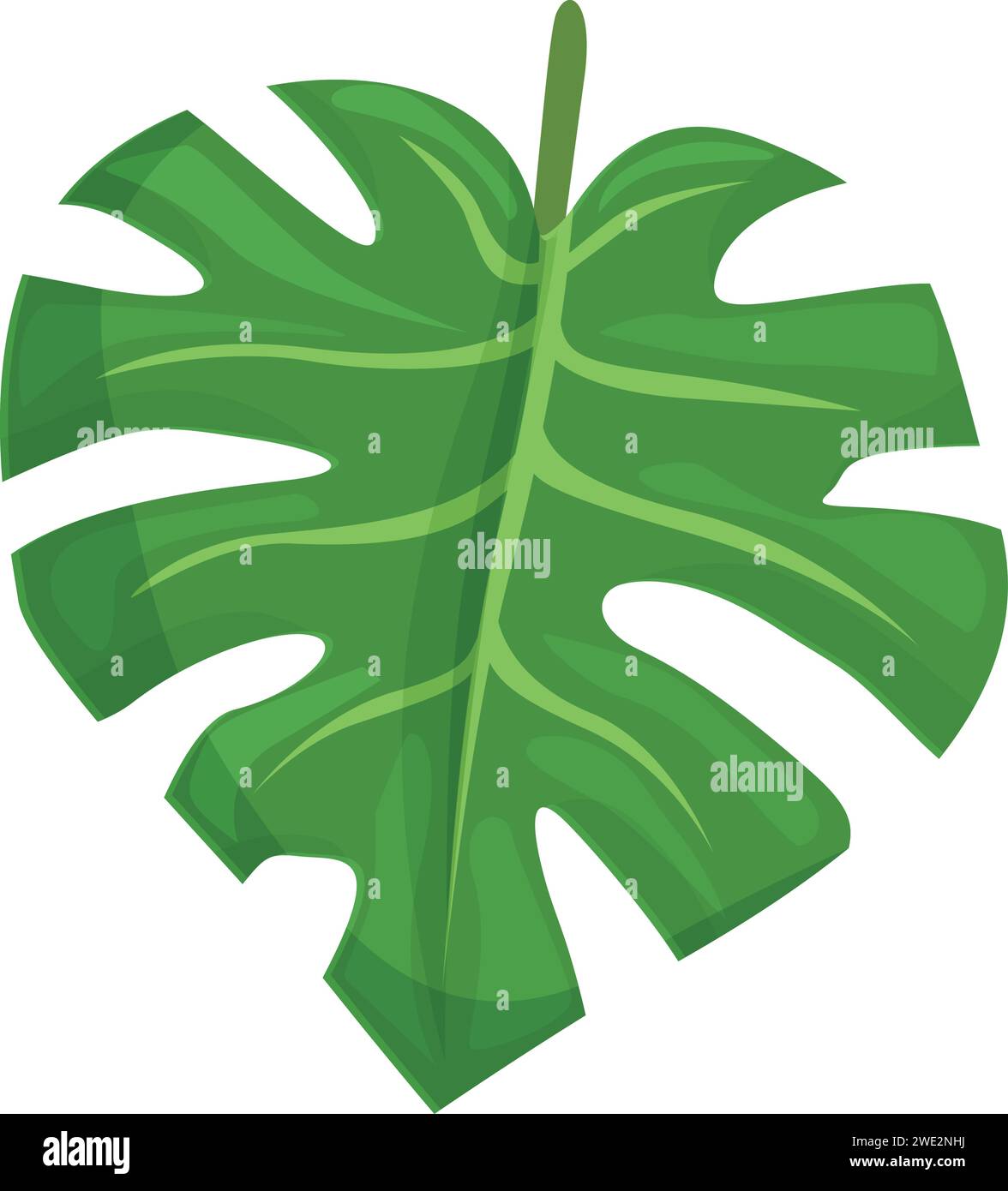 Flora monstera icon cartoon vector. Plant leaf jungle. Flora house ...