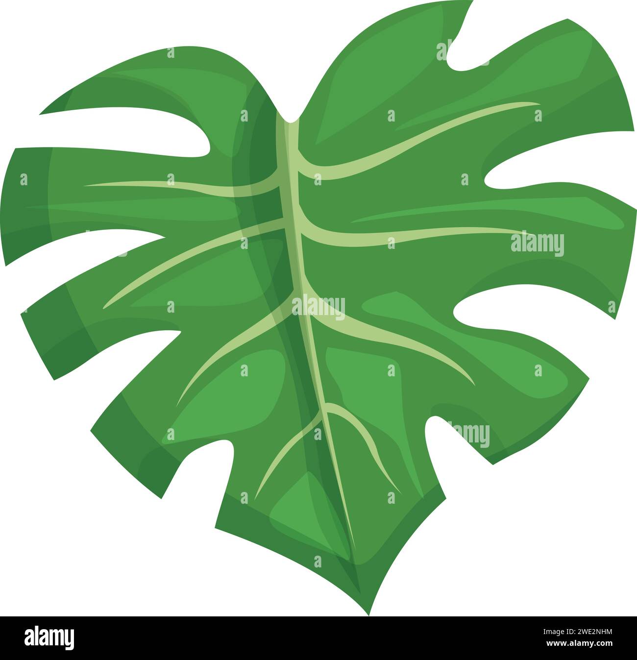 Jungle monstera icon cartoon vector. Plant green. Leaf palm frond Stock ...