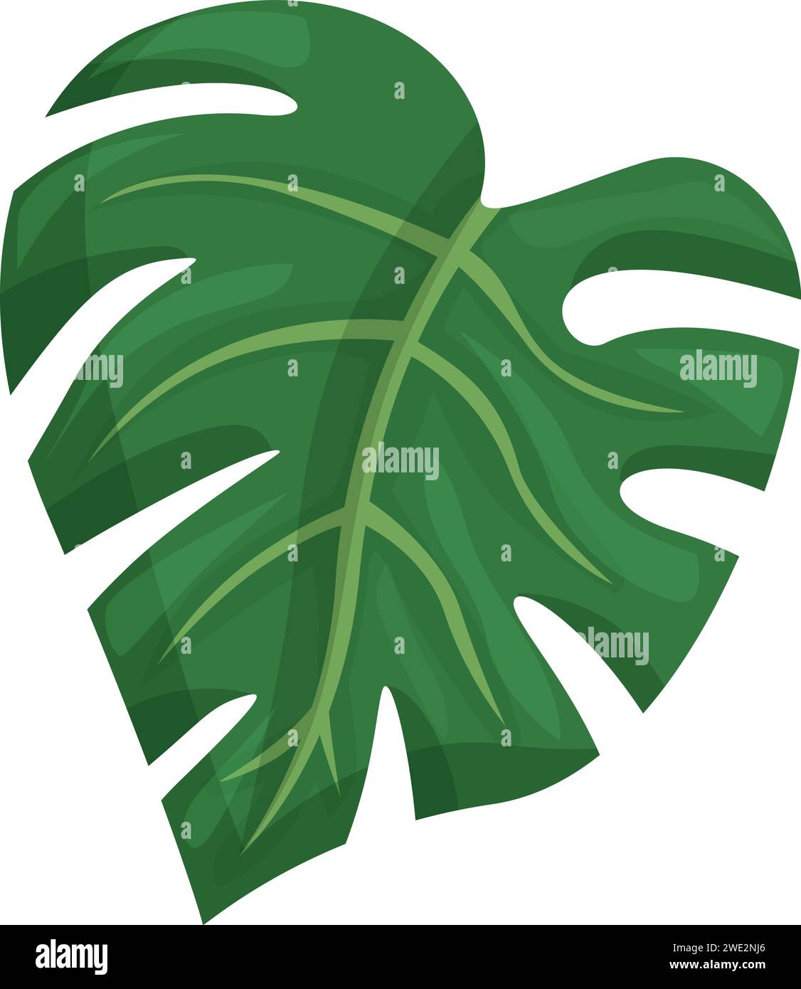 Blossom plant icon cartoon vector. Monstera leaf. Exotic vegetation ...