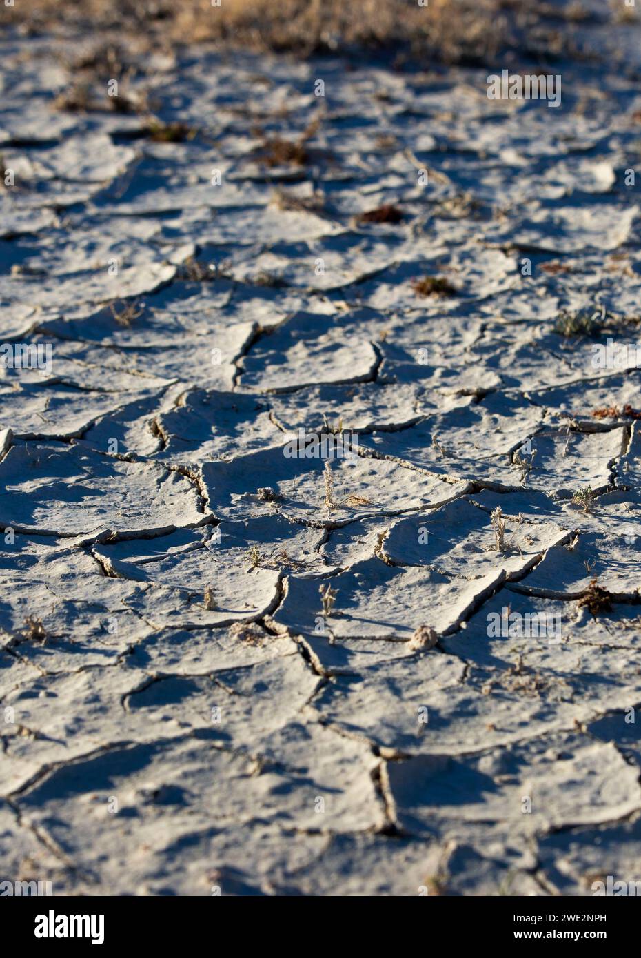 Trona, California, USA. 14th Jan, 2024. Searles Lake is an endorheic ...