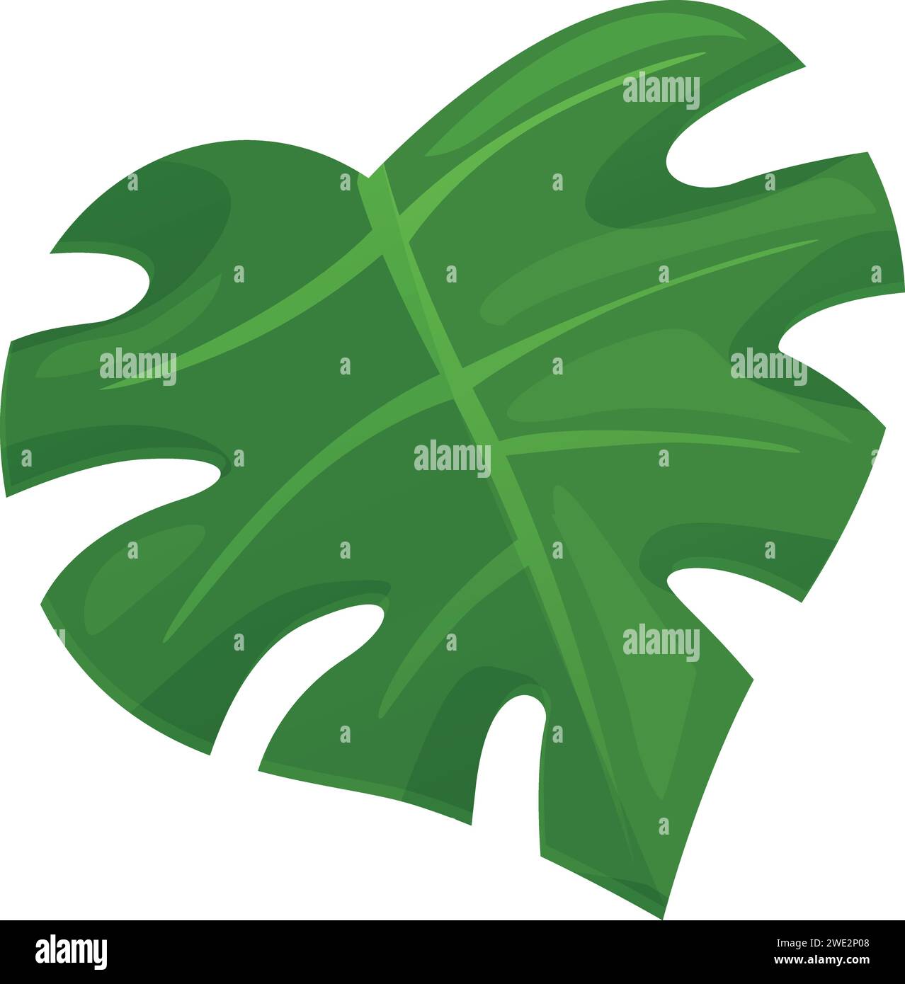 Season monstera icon cartoon vector. Leaf plant. Vegetation spring ...