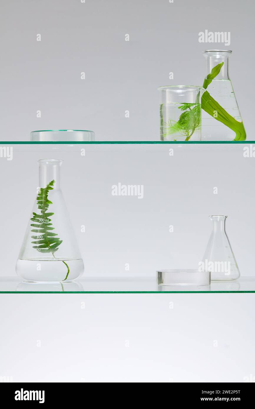 On the glass shelf in the laboratory, there are glass jars containing ...