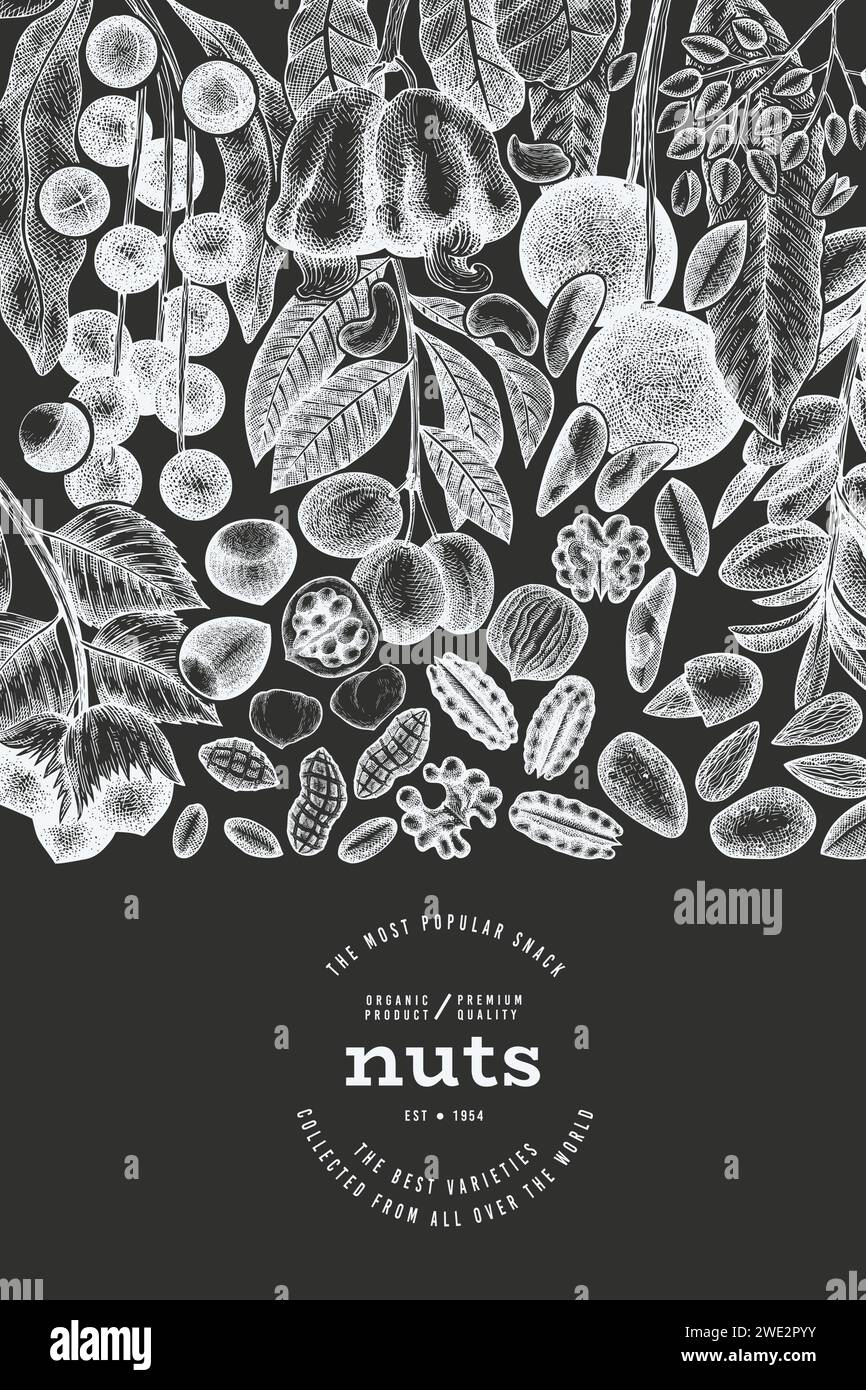 Hand Drawn Nuts Branch And Kernels Template. Organic Seed Vector Design ...