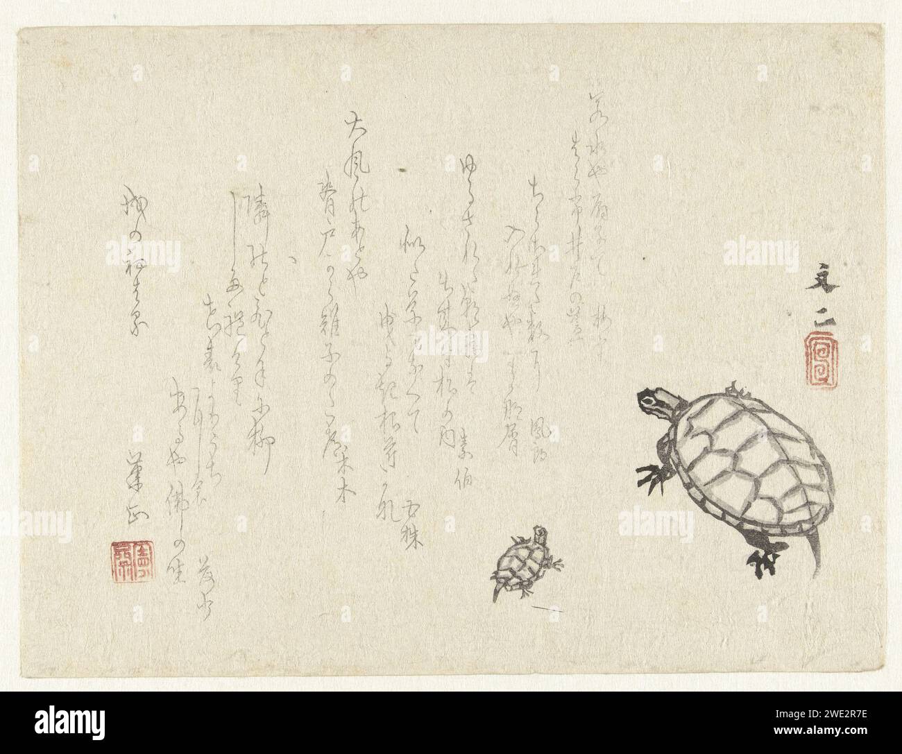 Two Turtles, Tani Bunji, 1815 - 1839 print A large and small turtle at ...