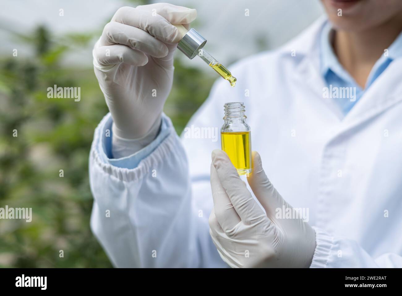 Doctor leaves stethoscope hi-res stock photography and images - Alamy