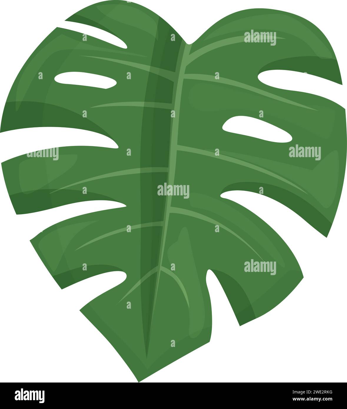 Spring monstera icon cartoon vector. Jungle plant. Summer house flora ...
