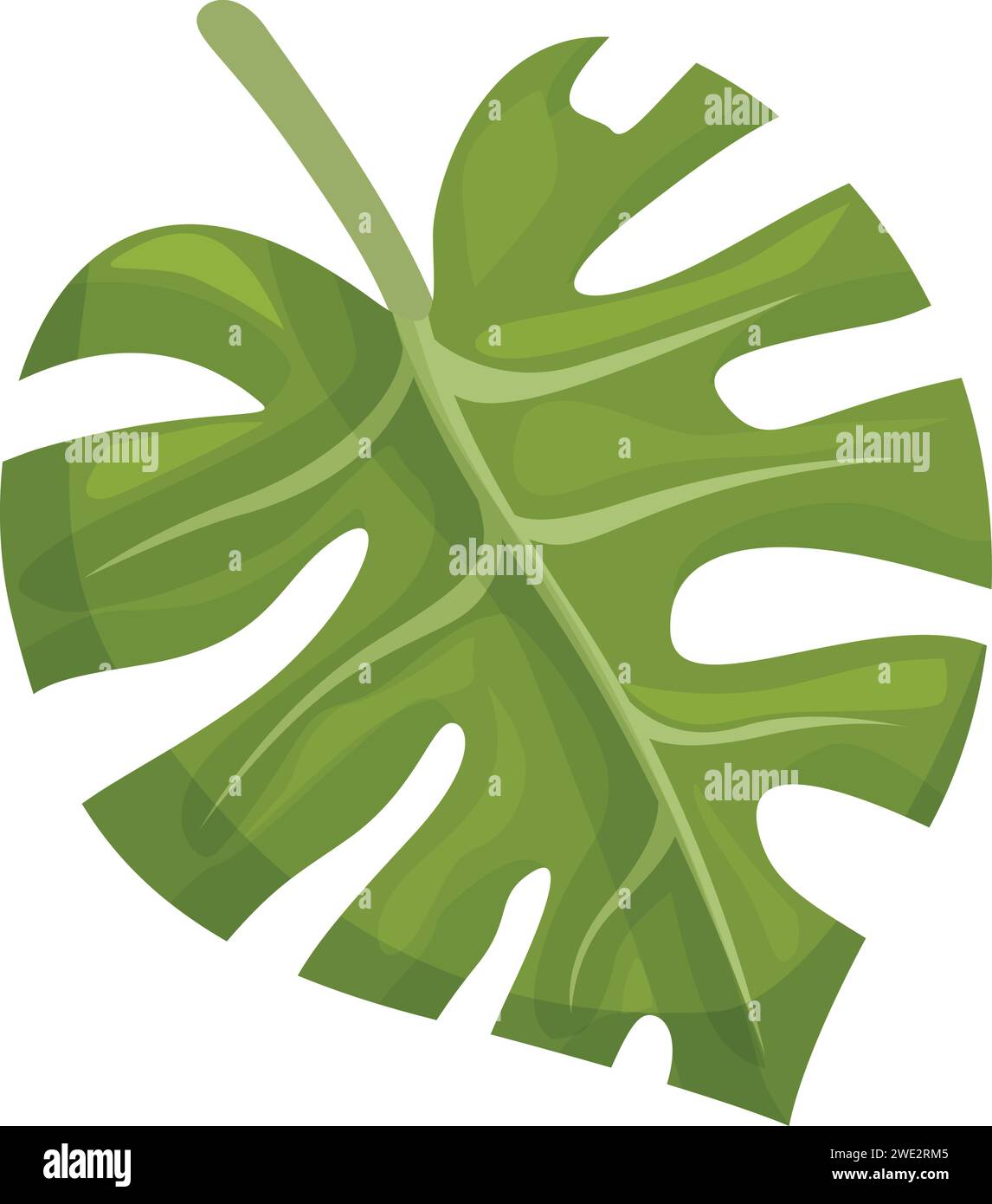 Verdure monstera icon cartoon vector. Foliage fashion. Green plant ...
