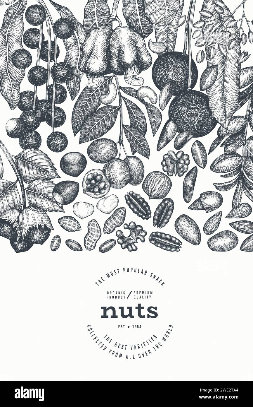 Hand Drawn Nuts Branch And Kernels Template. Organic Seed Vector Design ...
