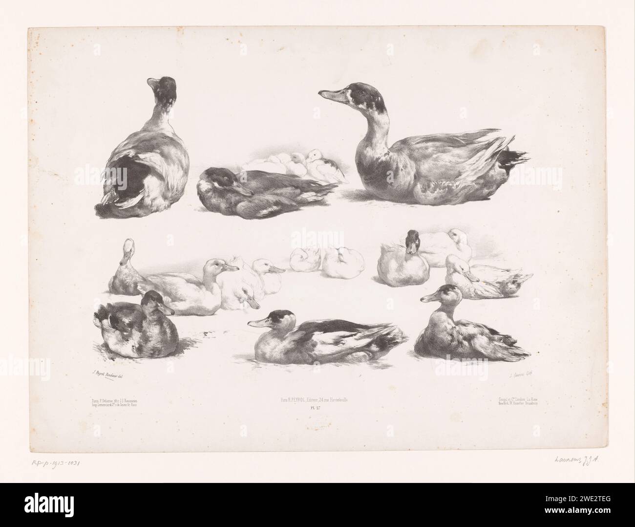 Juliette bonheur hi-res stock photography and images - Alamy