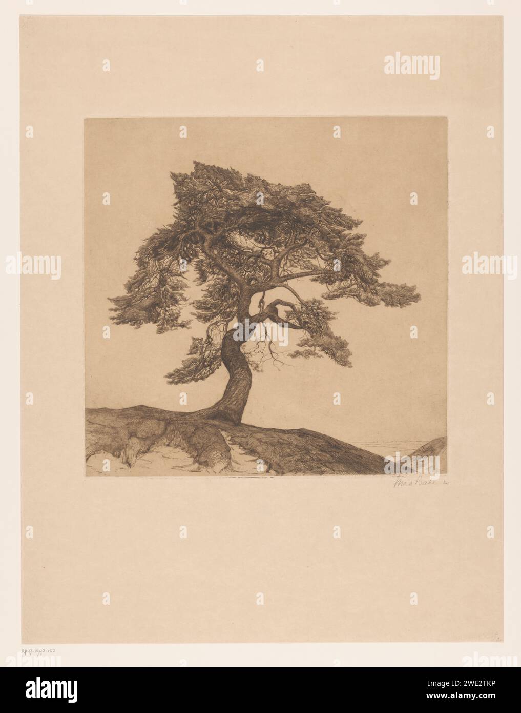 Tree in a landscape, Mia Bake, 1924 print paper etching trees ...
