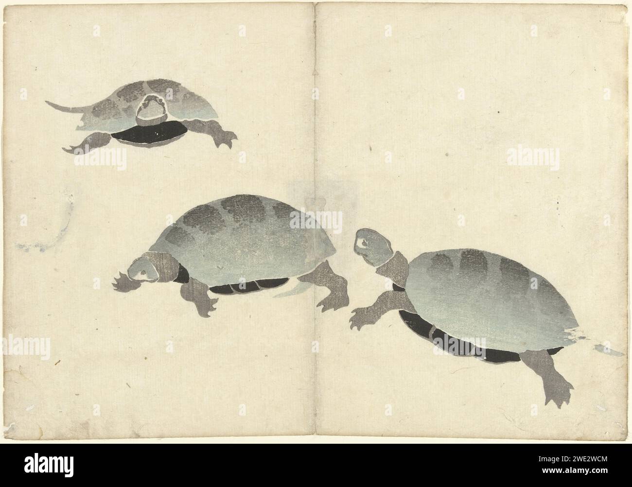 Three Turtles, Nakamura Hôchû, 1826 print Or paper color woodcut ...