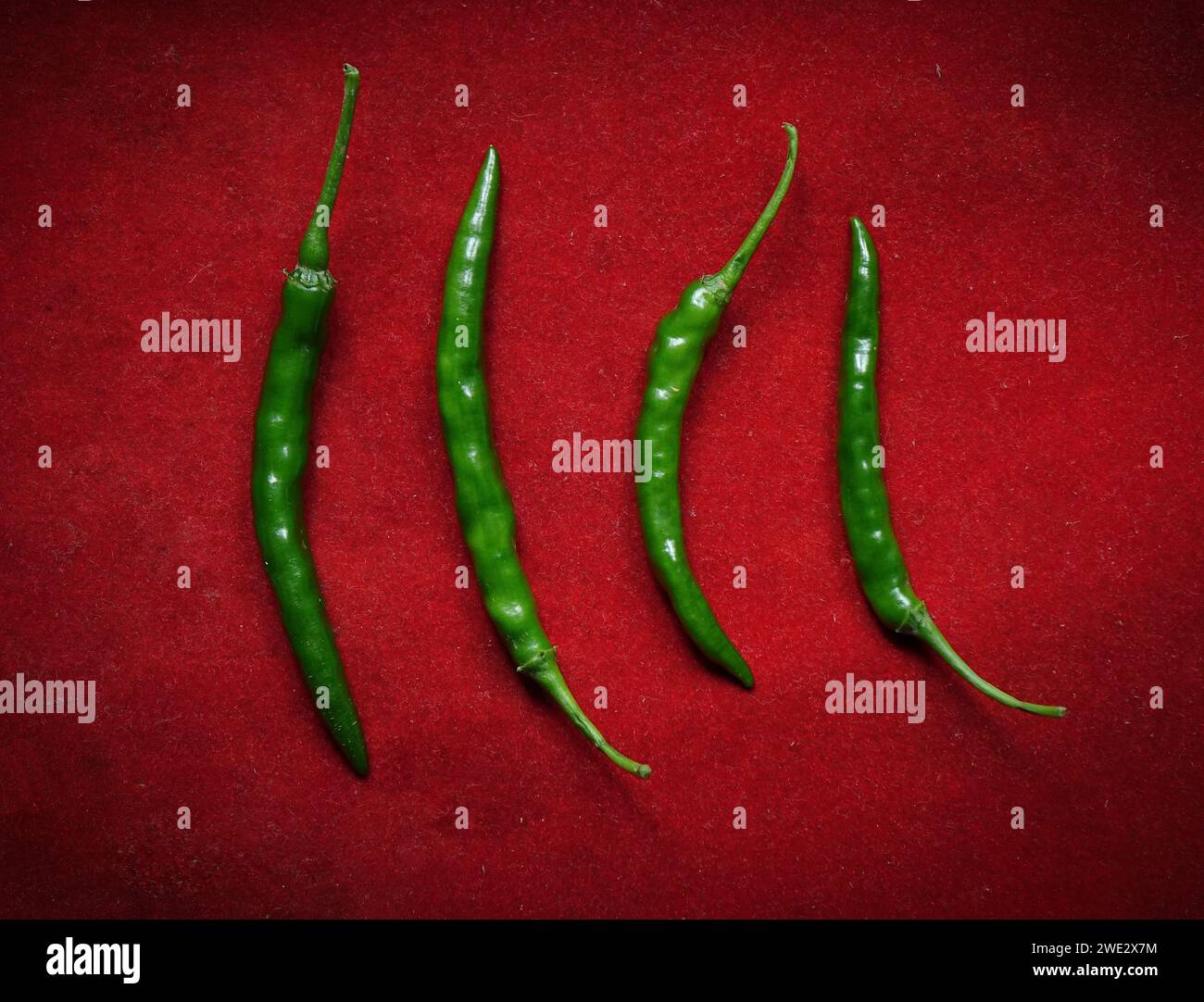 Kashmiri chilli plant hi-res stock photography and images - Alamy