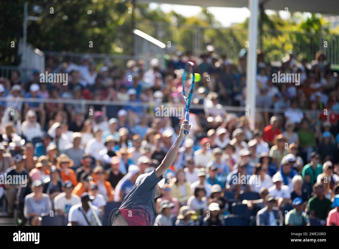 playing tennis on a blue tennis court. serving in a tennis with a crowd ...
