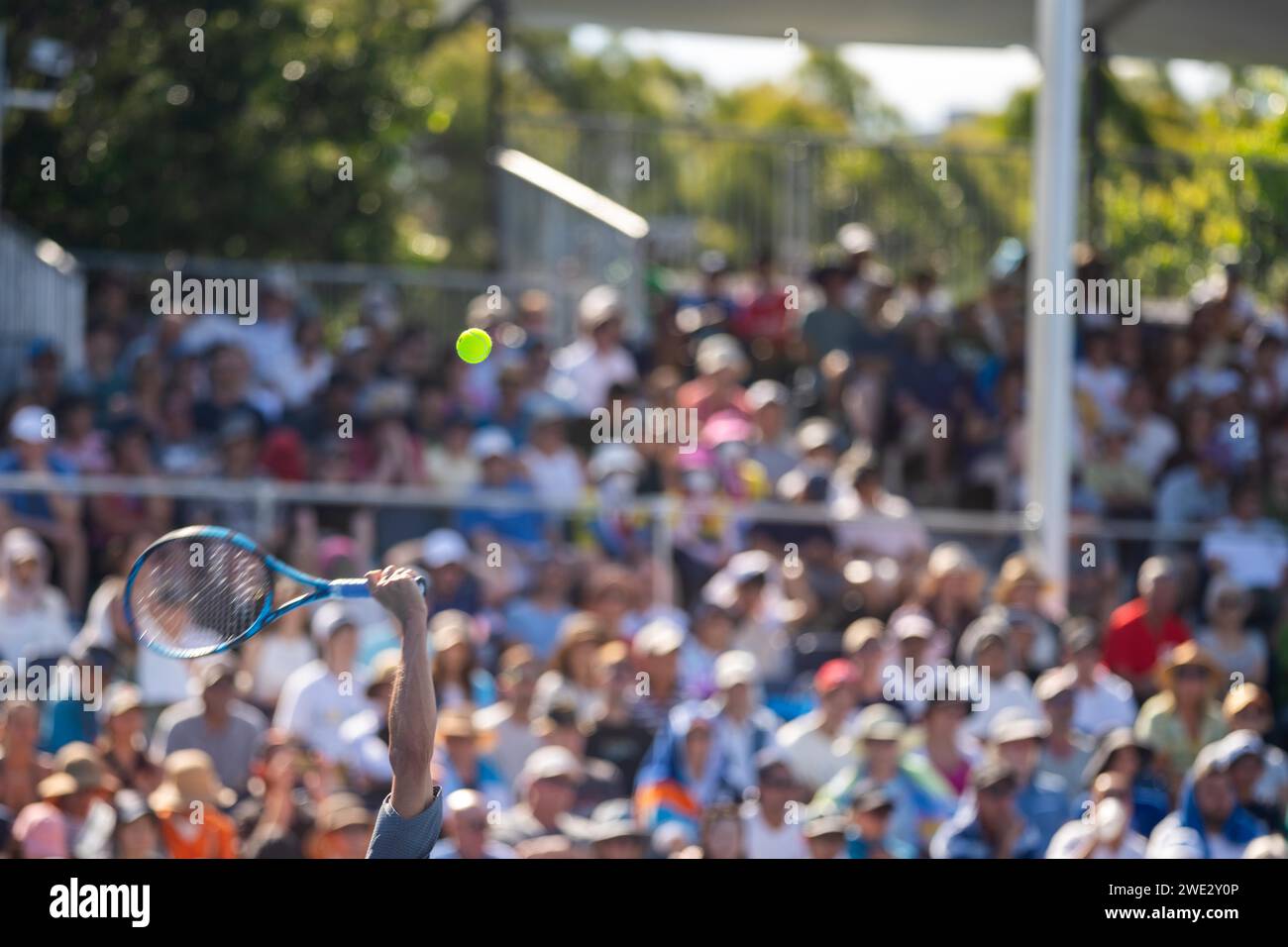 playing tennis on a blue tennis court. serving in a tennis with a crowd ...