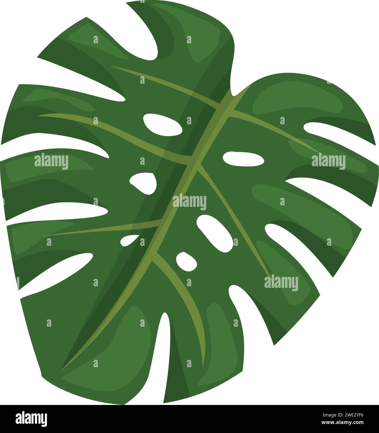 Decoration monstera icon cartoon vector. Tropical jungle. Plant green ...