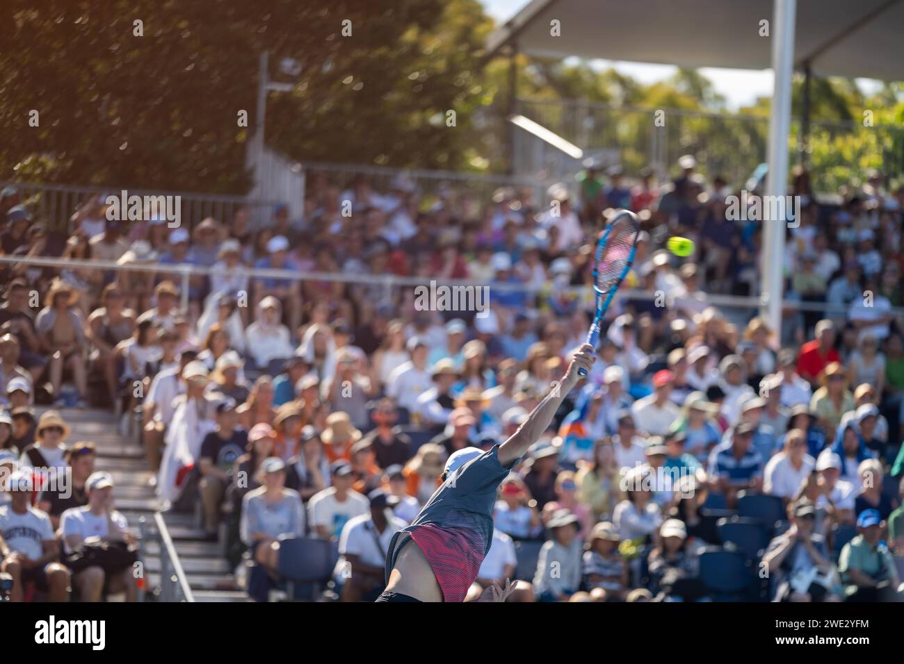 playing tennis on a blue tennis court. serving in a tennis with a crowd ...