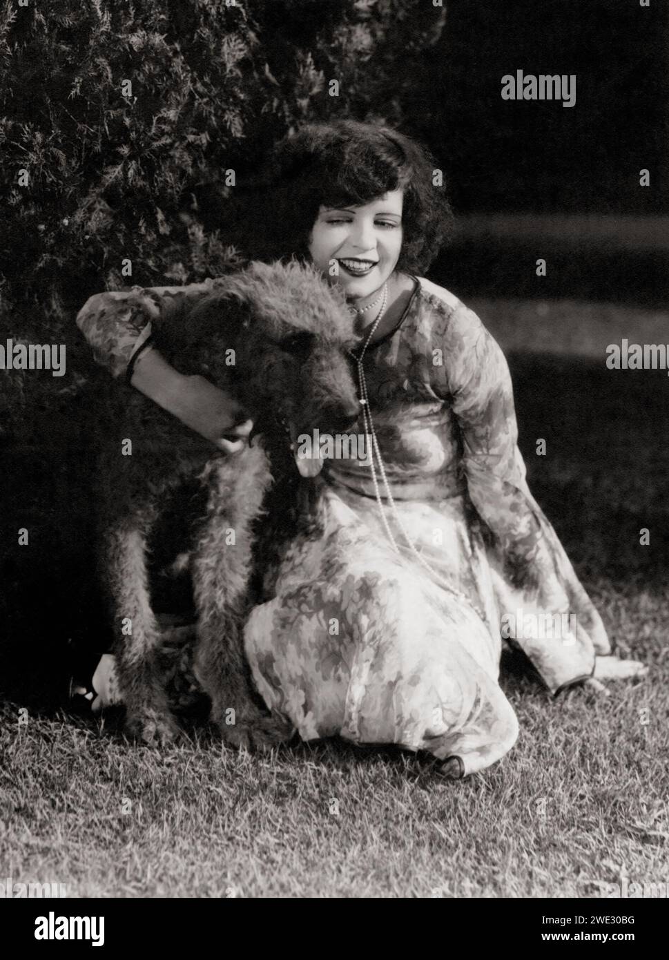 Clara Bow with a dog, photo by Otto Dyar (Paramount, Late 1920s Stock ...