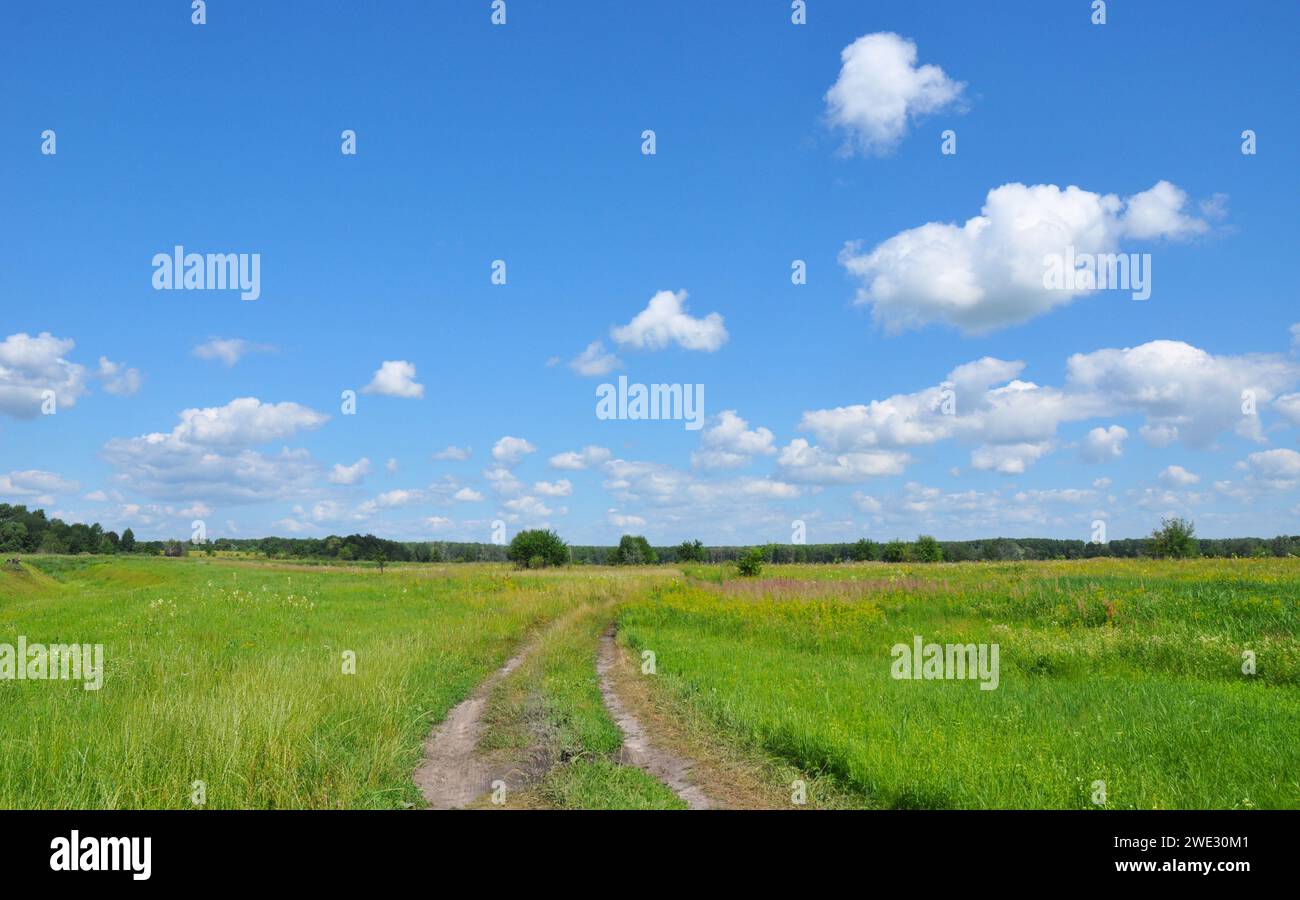 Greenway, rural footpath, walking trail road, track is running through ...