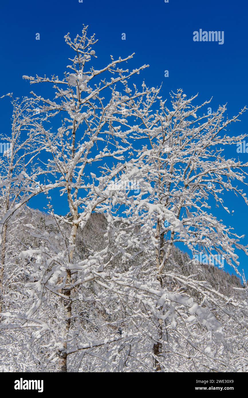 Logar Valley, Slovenia Stock Photo - Alamy