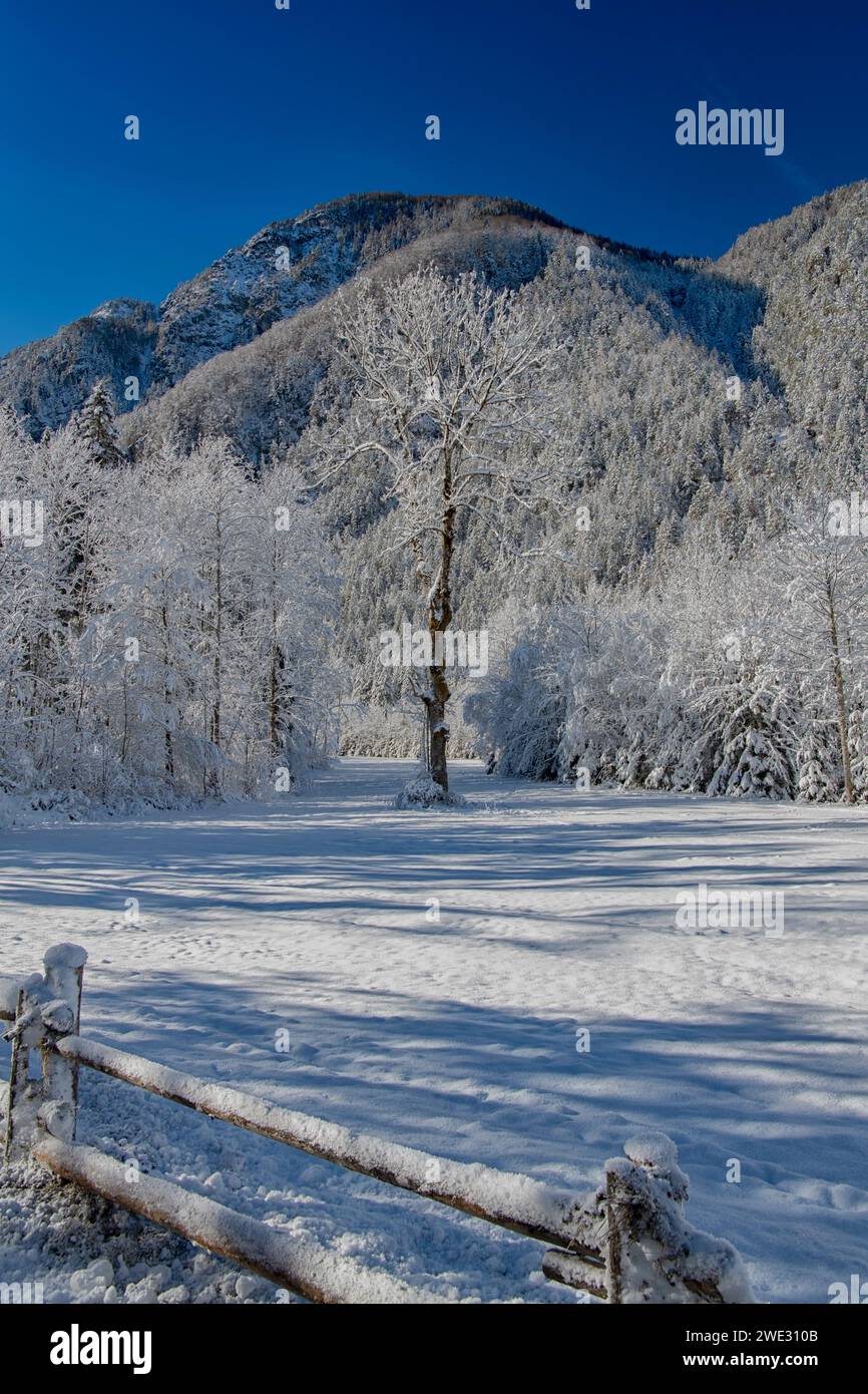 Logar Valley, Slovenia Stock Photo - Alamy
