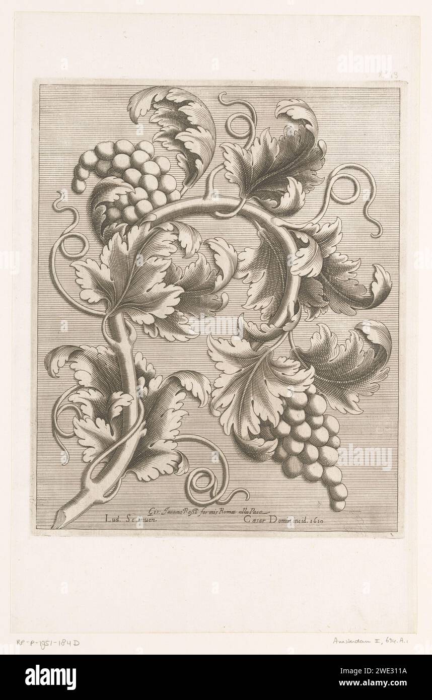 Vine maker hi-res stock photography and images - Alamy