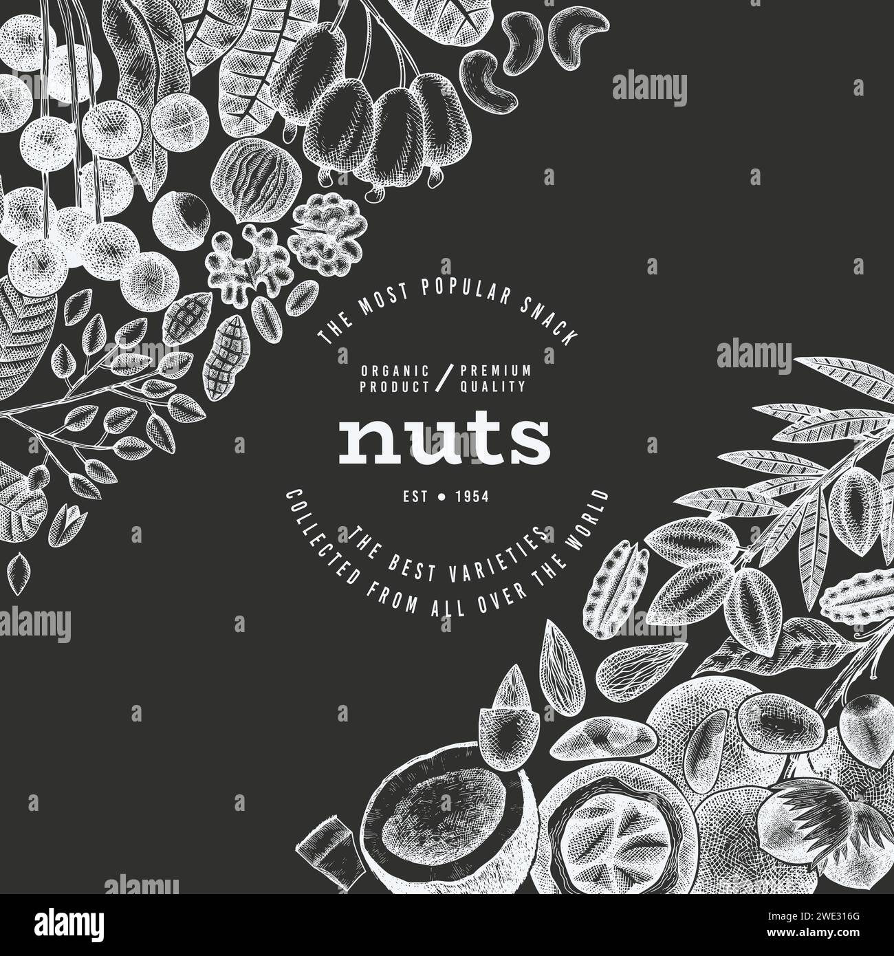 Hand Drawn Nuts Branch And Kernels Template. Organic Seed Vector Design ...