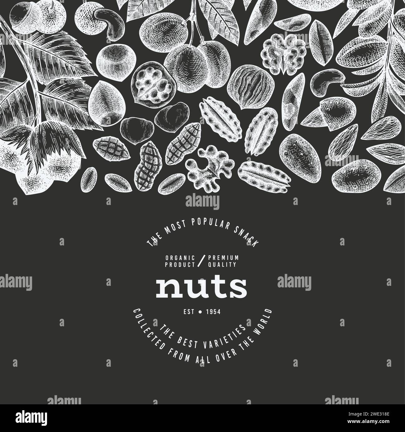 Hand Drawn Nuts Branch And Kernels Template. Organic Seed Vector Design ...