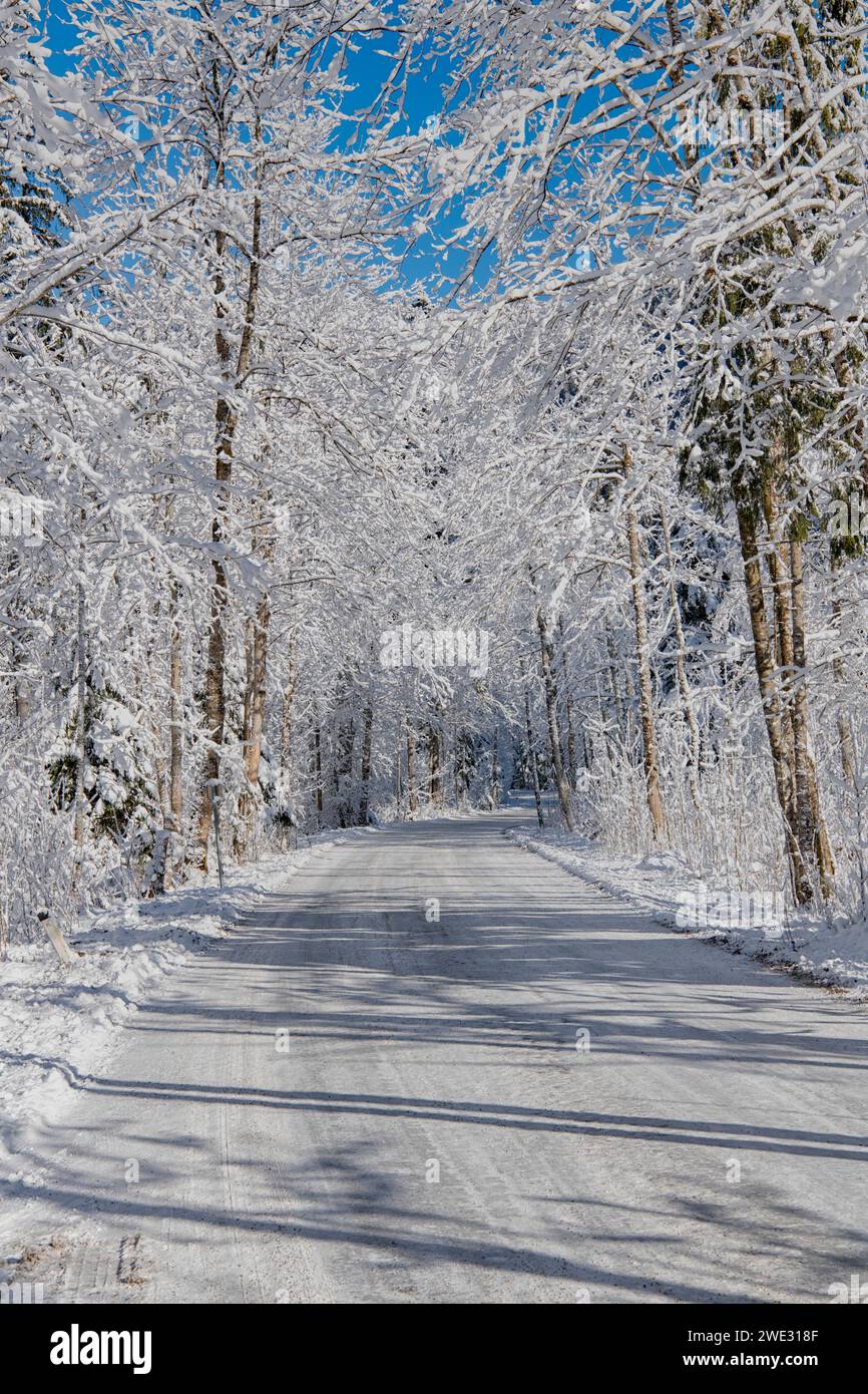 Logar Valley, Slovenia Stock Photo - Alamy