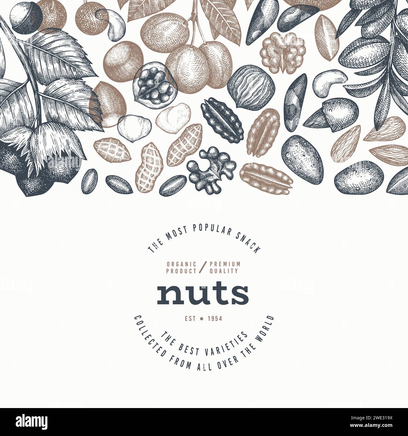 Hand Drawn Nuts Branch And Kernels Template. Organic Seed Vector Design ...