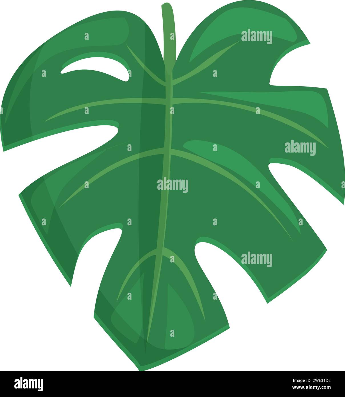 Green vegetation icon cartoon vector. Monstera leaf. Fashion foliage ...