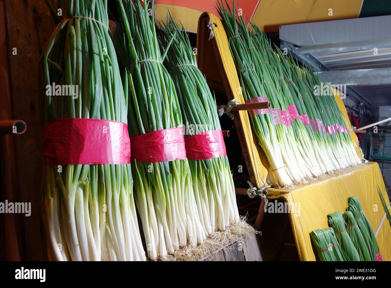 Spring onion green hi-res stock photography and images - Alamy